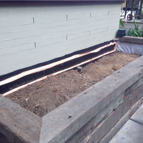 Termite Barriers | NPC Pest Control Australia Gympie
